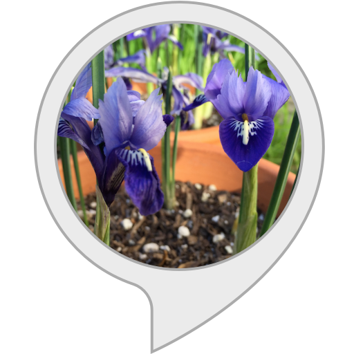 Amazon.in: Facts about Plants : Alexa Skills