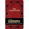 Amazon.com: Labyrinth Hardcover Ruled Journal (80's Classics ...