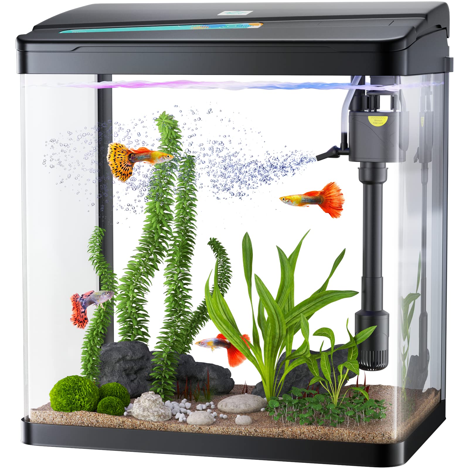 PONDON Fish Tank, 3 Gallon Glass Aquarium, 3 in 1 Fish Tank with Filter ...