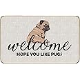 Amazon.com: Mingnei Funny Welcome Hope You Like Pugs Dog Doormat Door ...