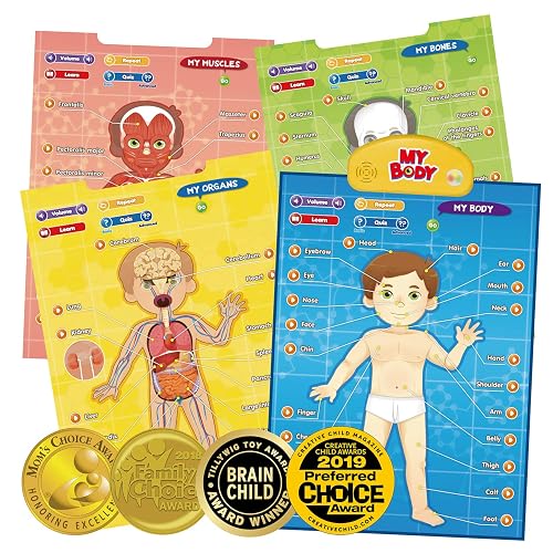 BEST LEARNING i-Poster My Body - Interactive Educational Human Anatomy ...
