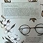 A Natural History of Fairies: Amazon.co.uk: Hawkins, Emily, Roux ...