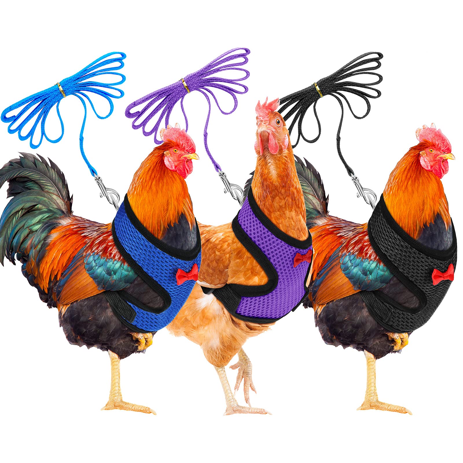Boao 3Pieces Adjustable Chicken Harness and Leash Set Spring Summer ...