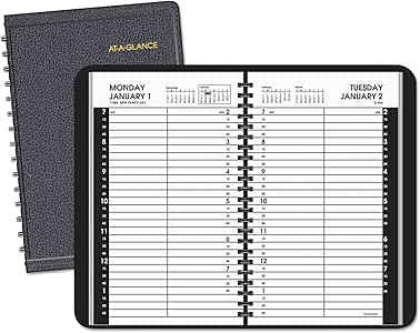 Amazon.com : AAG7080005 - Daily Appointment Book with 15-Minute ...