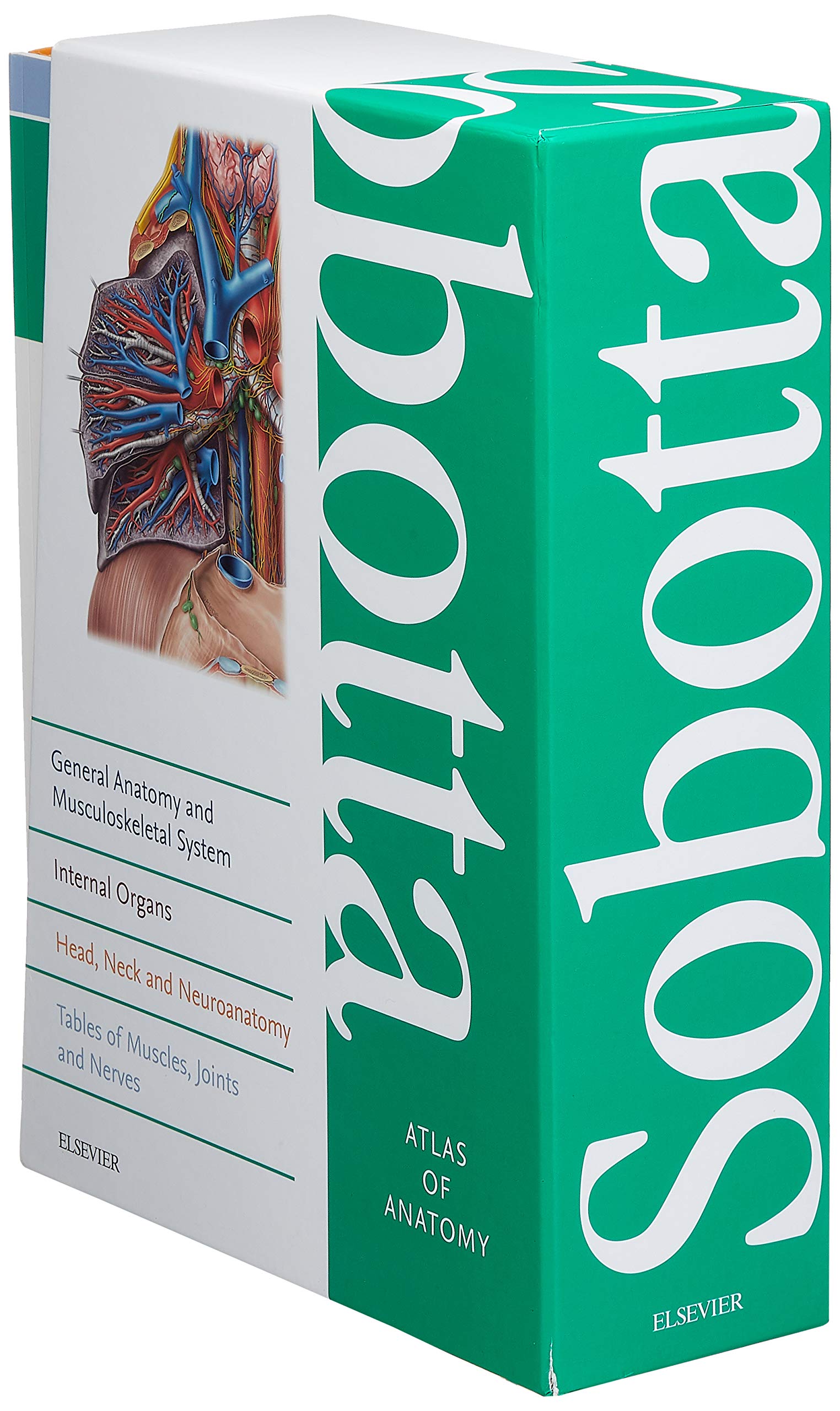 Mua Sobotta Atlas of Anatomy, Package, 16th ed., English/Latin ...
