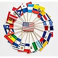 Amazon.com : stidsds Latin America 21 Countries Toothpick Flags Mini ...
