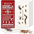 Amazon.com : LULUCATCH Cricket Insect Glue Traps - 6 Pack Bug Cockroach ...