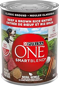 Purina ONE Wet Dog Food, Beef & Brown Rice 368g (12 Pack): Amazon.ca ...