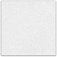 Armstrong Ceiling Tiles; 2x2 Ceiling Tiles - 12 pcs White; Acoustic ...
