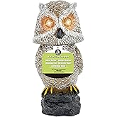 Amazon.com: Ugold Solar Powered Owl with Motion Detection, Silent Mode ...