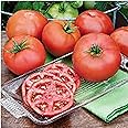 Amazon.com : Heatmaster Tomato Seeds (50 Seeds) Seeds for Planting ...