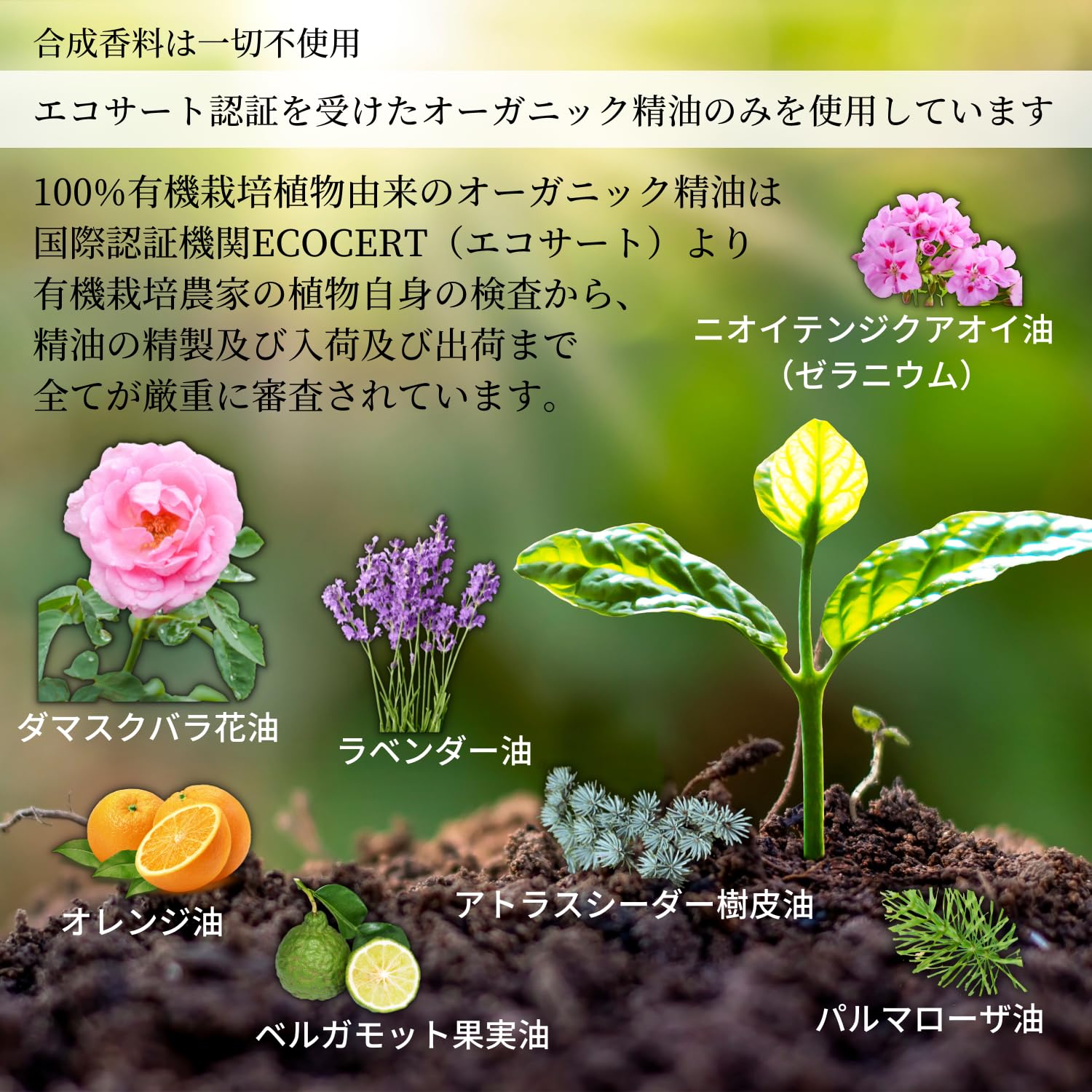 Mua 年齢肌 キメ整う 保湿 ウルラ ホワイトニングセラム 薬用 美白クリーム HO 30g2個セット 医薬部外品 シミ 改善 オーガニック ヒアルロン酸 コラーゲン トラネキサム酸 ...