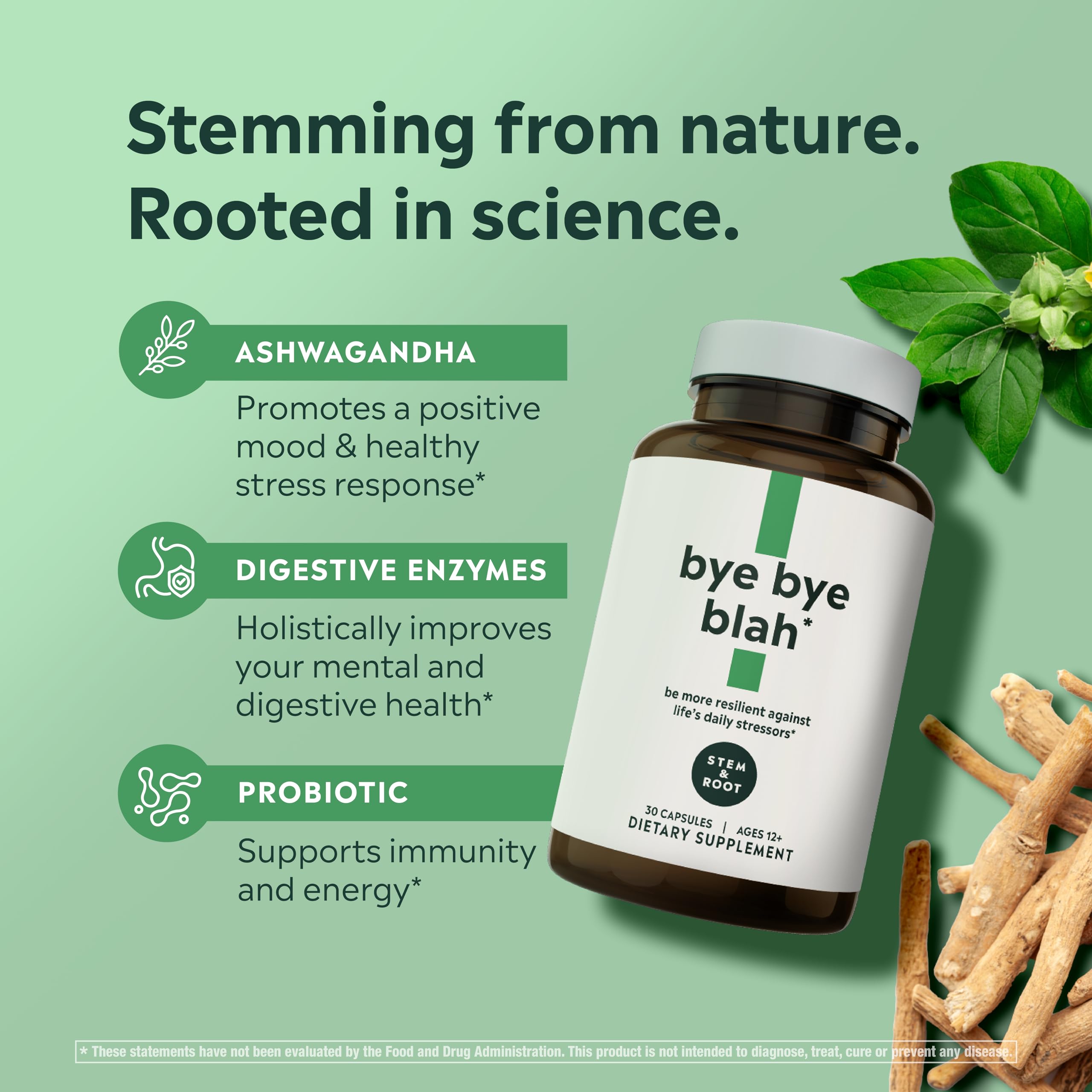 Mua Stem & Root™ Bye Bye Blah | Probiotic + Digestive Enzymes ...