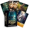 Amazon.com: Enchanted Forest Oracle: A 58-Card Deck & Guidebook : Toys ...