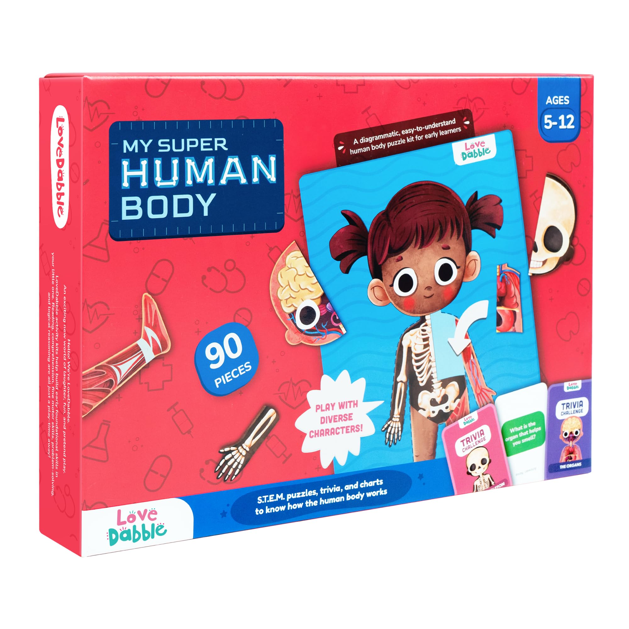 Mua My Super Human Body: Learn Anatomy with 5 Charts, Trivia Cards ...