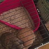 Megazorb Animal Bedding 85 Litres: Amazon.co.uk: Pet Supplies