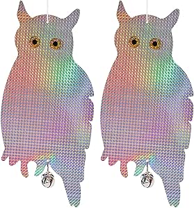 Amazon.com: Dyvicl Hanging Reflective Owl for Windows, House, Patio ...
