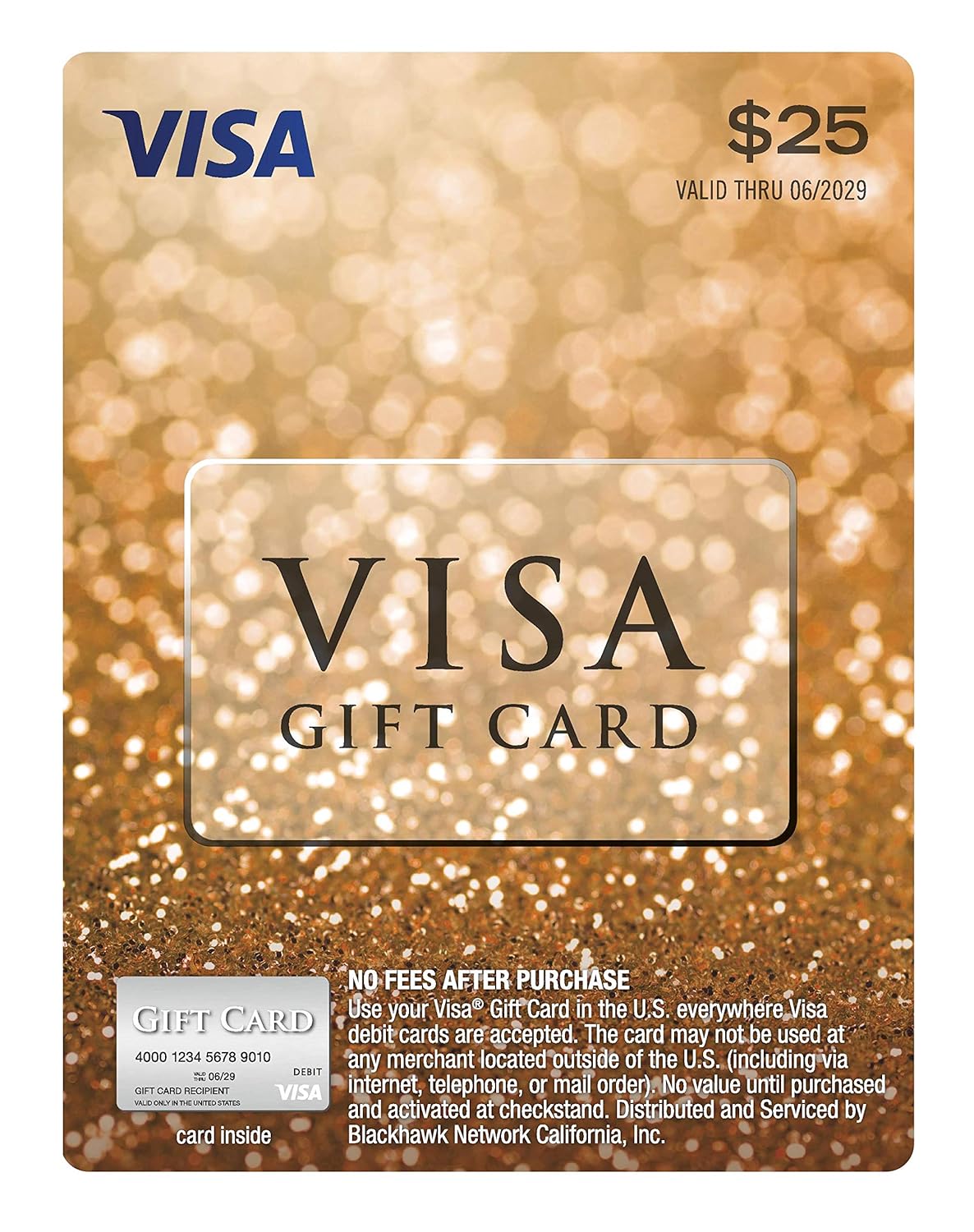  25 Visa Gift Card plus 3 95 Purchase Fee Purse