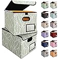 Amazon.com: BALEINE File Organizer Box with Lid, Collapsible File ...