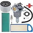 Amazon.com: Kizut 594593 Carburetor for Briggs & Stratton 31H777 31C707 ...