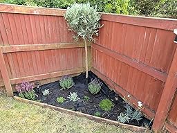 Nutley's 10 x 2 m Weedban 50 Weed Control Fabric - Black: Amazon.co.uk ...