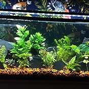 Aqua One Horizon Aquarium Fish Tank & Cabinet 122cm 182L: Amazon.co.uk ...