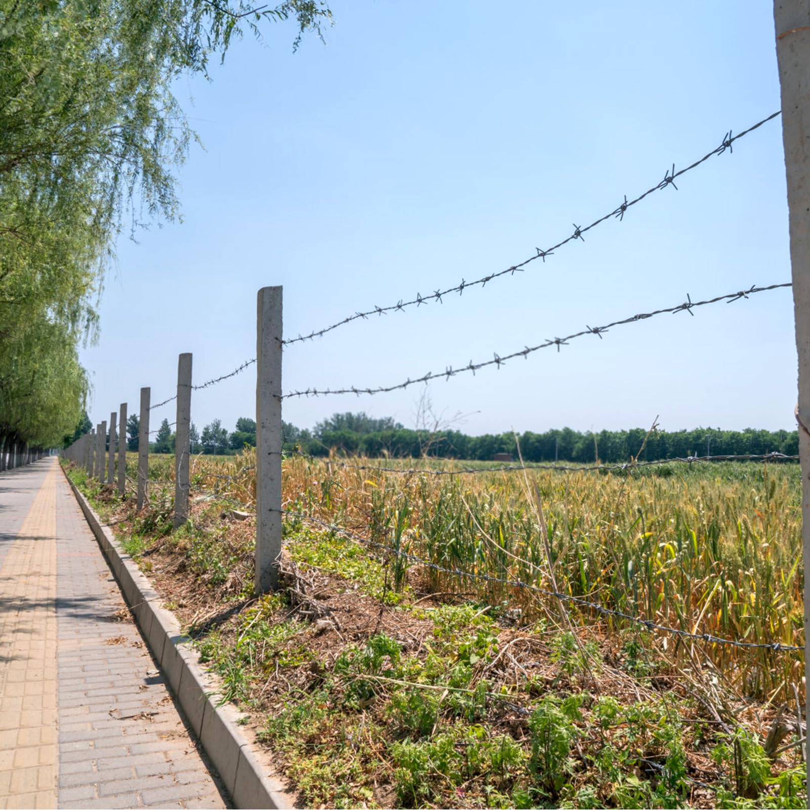 YXJSTO Real Barbed Wire 660FT, 4 Point Barbed Wire Roll 18 Gauge ...