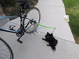 Amazon.com : Woof Cycle Bike Trotter (Premium) Hands-Free Dog Bicycle ...