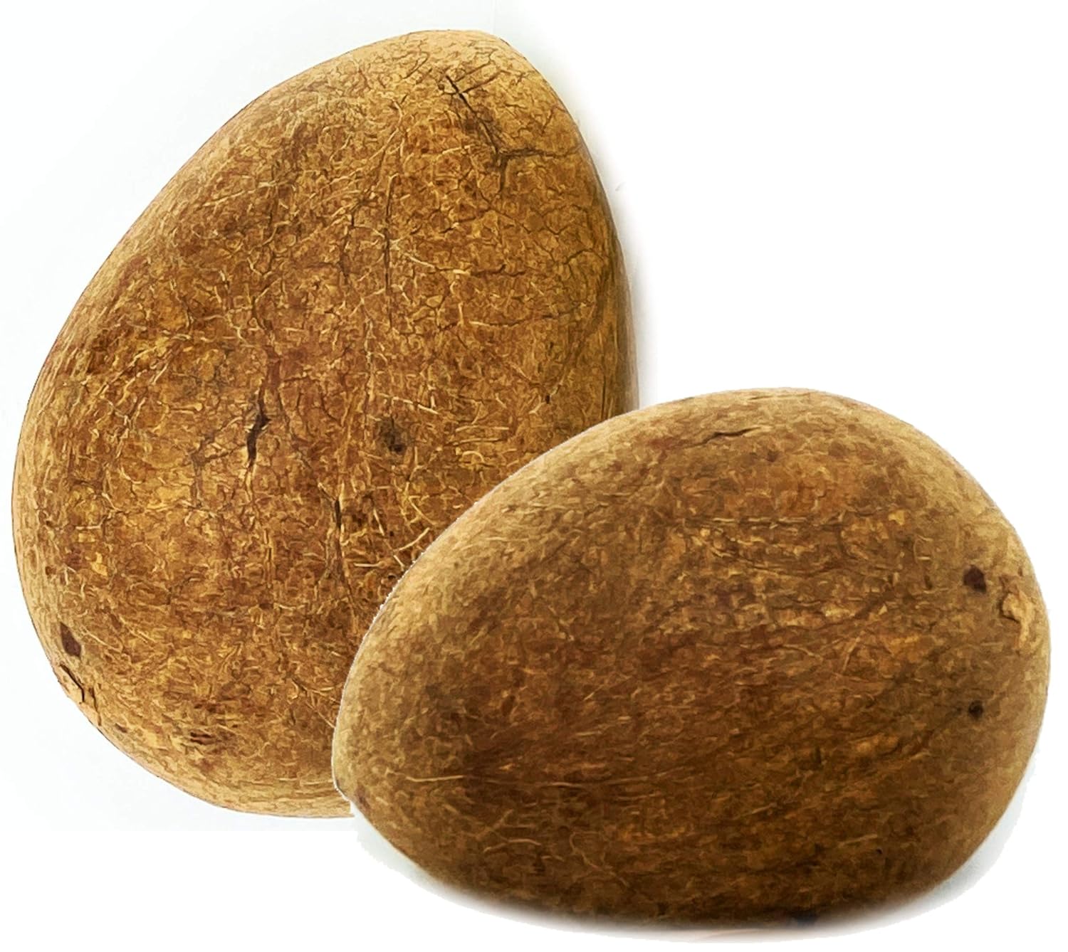 Amazon.com : Rani Coconut (Copra) Whole 2pc ~Raw (uncooked, unsweetened ...