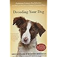 Decoding Your Dog: Explaining Common Dog Behaviors and How to Prevent ...