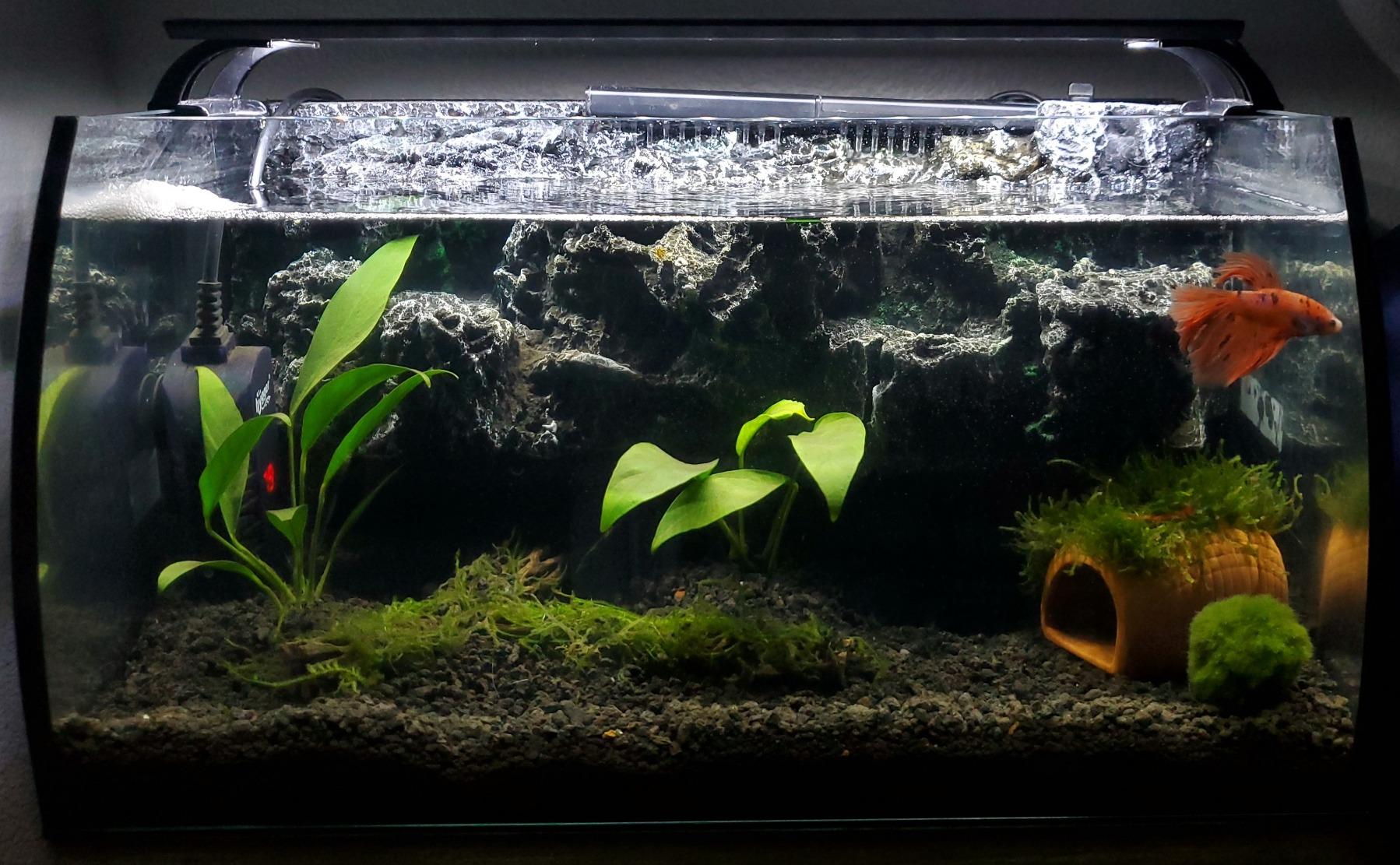 $24/mo - Finance Hygger Horizon 8 Gallon LED Glass Aquarium Kit for ...