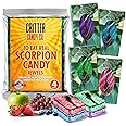Amazon.com : Hotlix Real Scorpions Candy Jewels (4-Pack), Insect Candy, Edible Bugs For Humans ...