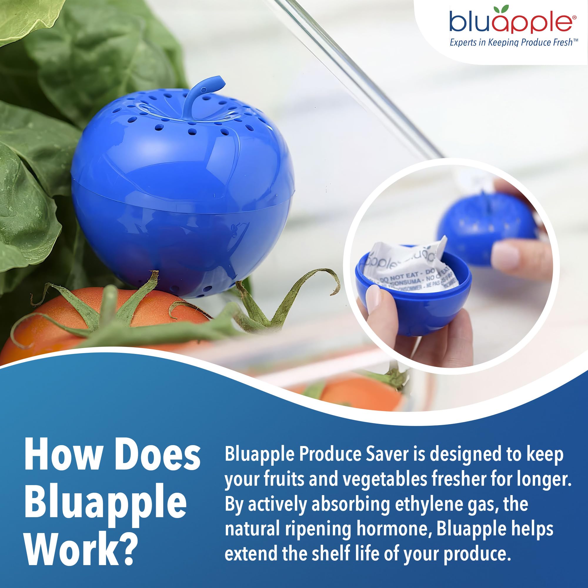 Mua Bluapple Ethylene Gas Absorber Classic Produce Saver 15-Month ...