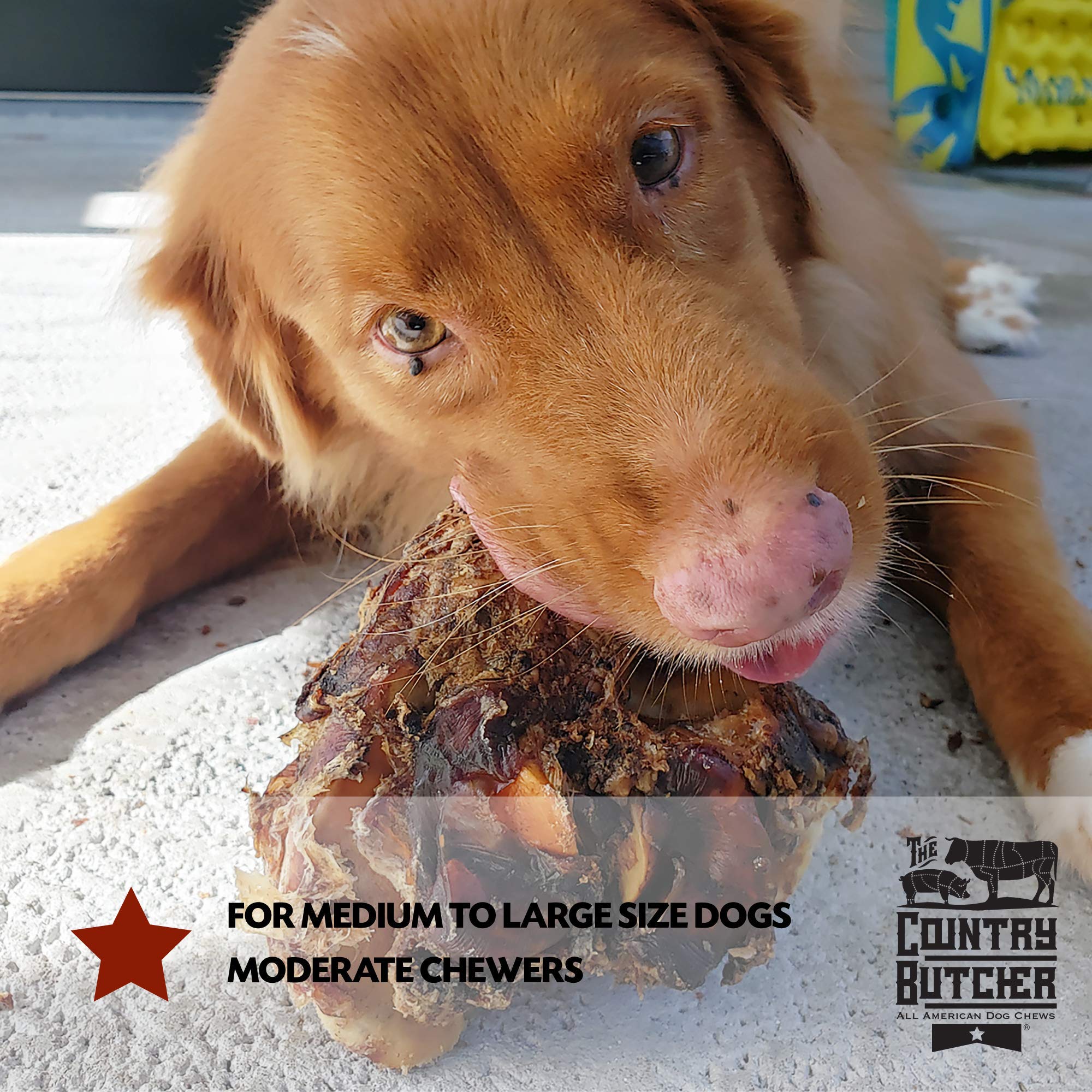 Mua Beef Knuckle Dog Bones for Aggressive Chewers, Large and Medium ...