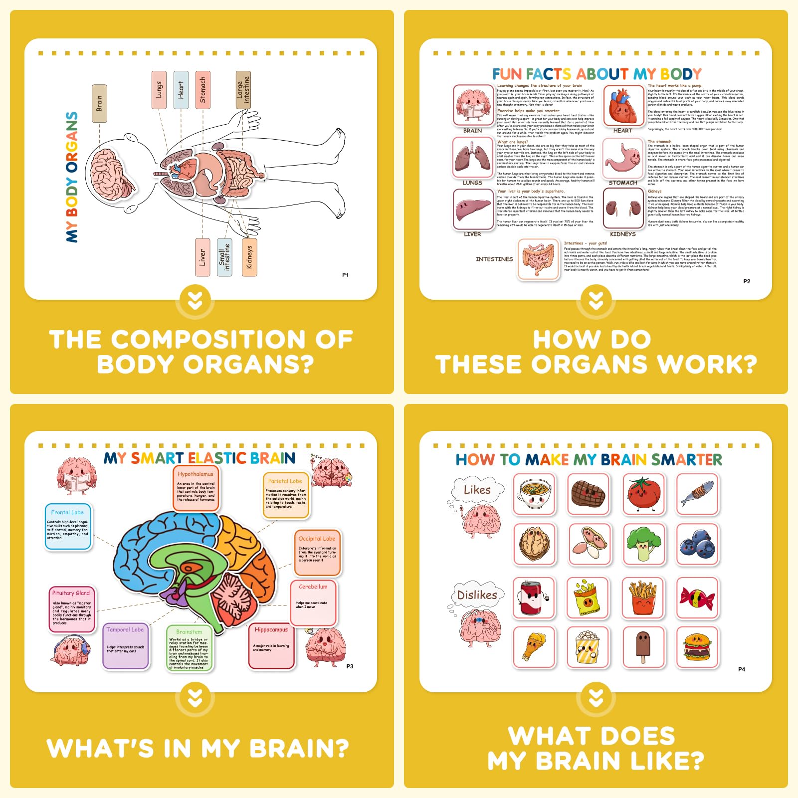 Mua Ayyomo Human Body Anatomy Busy Book for Kids, Montessori Homeschool ...