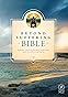 Beyond Suffering Bible NLT (Softcover): Where Struggles Seem Endless ...