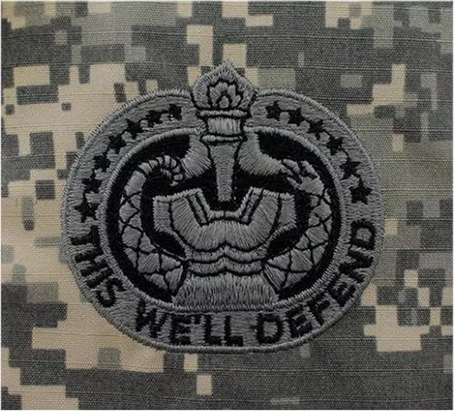 Amazon.com: Drill Sergeant US Army Badge (ACU): Clothing