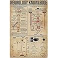 Amazon.com: JIUFOTK Neurology Knowledge Metal Tin Sign Doctor Anatomy ...
