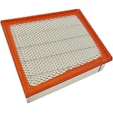 Amazon.com: ACDelco A3086C Professional Air Filter : Automotive