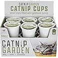 Amazon.com : Multipet Single Serve Cups Catnip Toy (12 Pack) : Pet Supplies