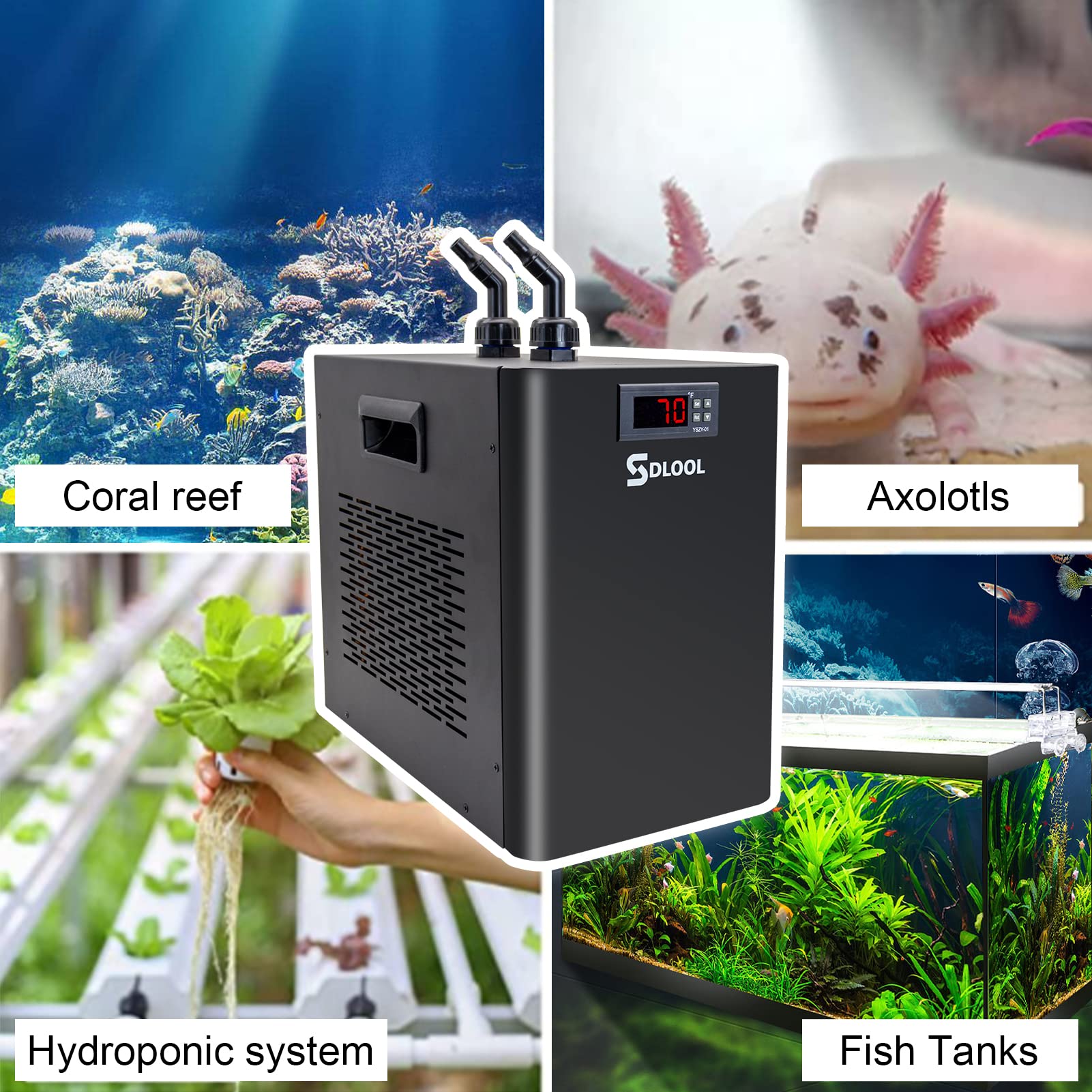 Mua SDLOOL Aquarium Chiller 42gal, 1/10 HP Water Chiller 160L Fish Tank ...