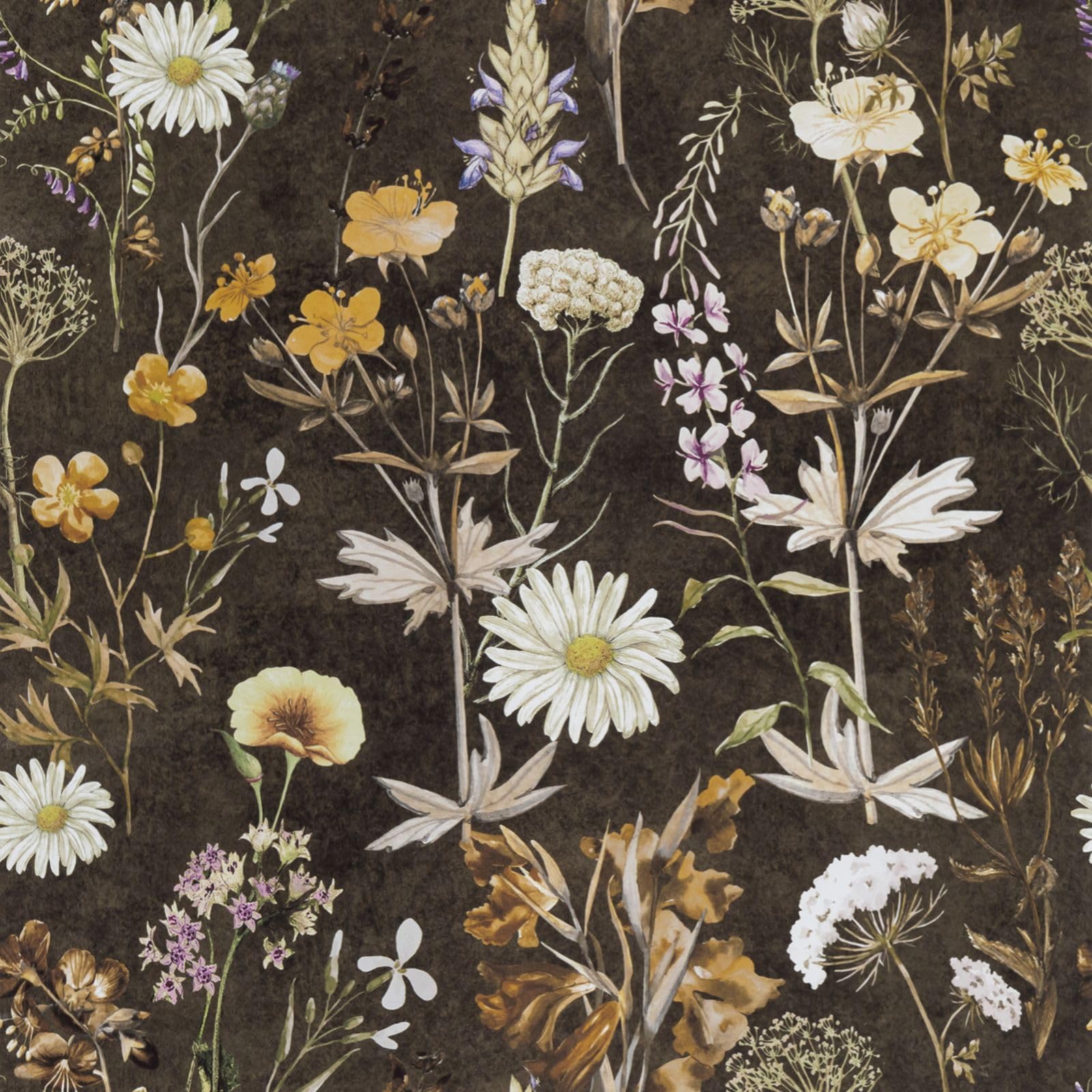 Abyssaly Dark Floral Peel and Stick Wallpaper, Vintage Daisy Contact ...