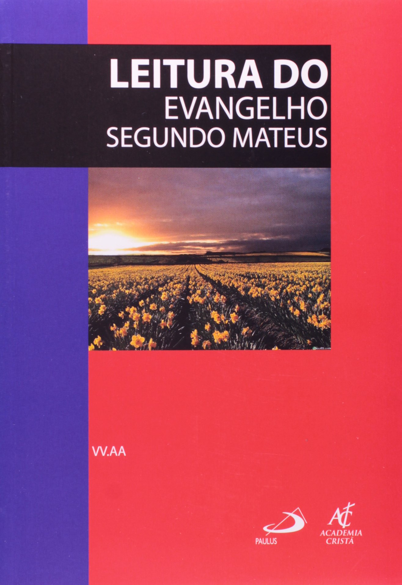 Leitura do Evangelho Segundo Mateus PDF Vários Autores