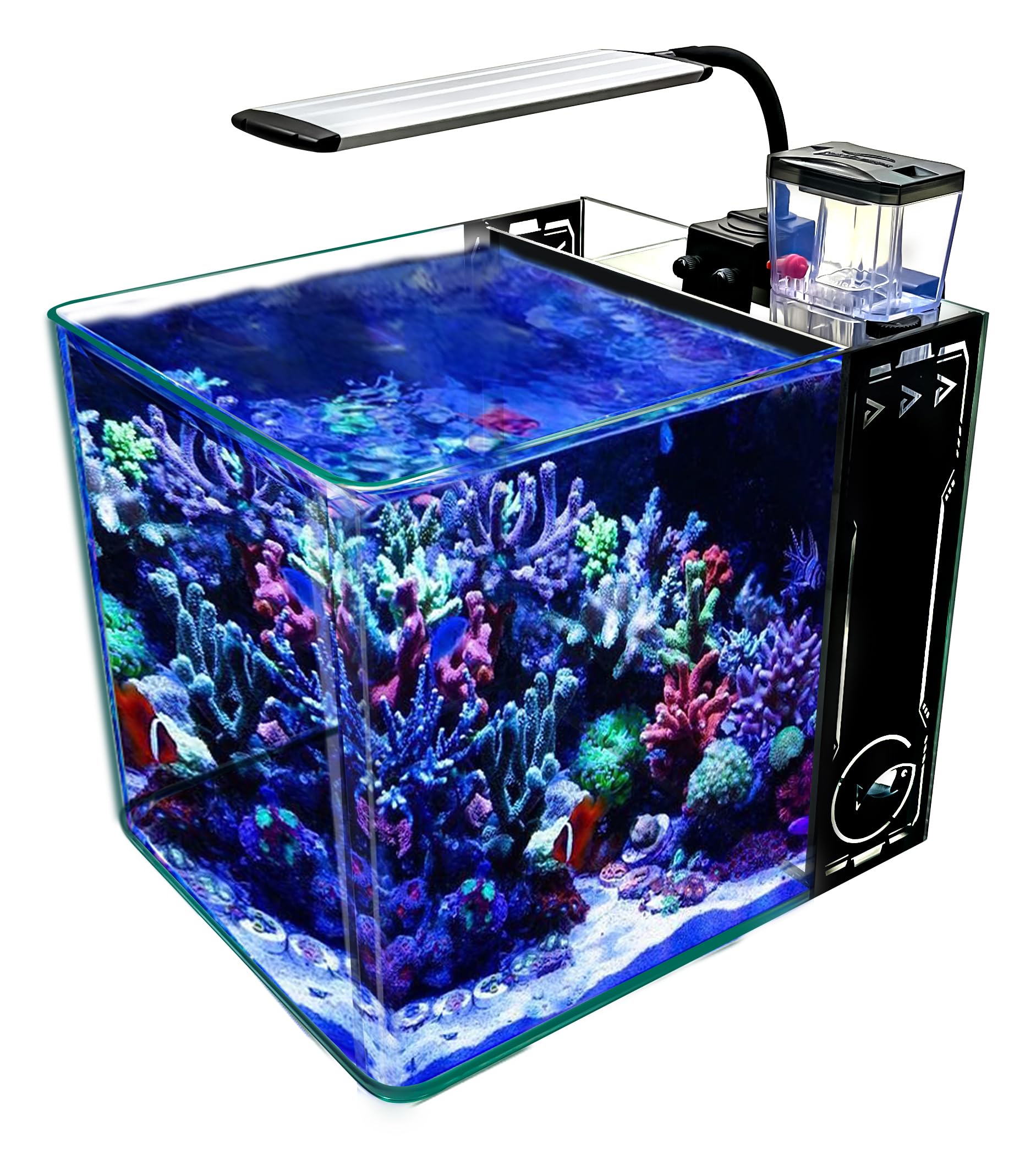 GankPike 8-Gallon Curved Corner Saltwater Aquarium Rimless Low Iron ...