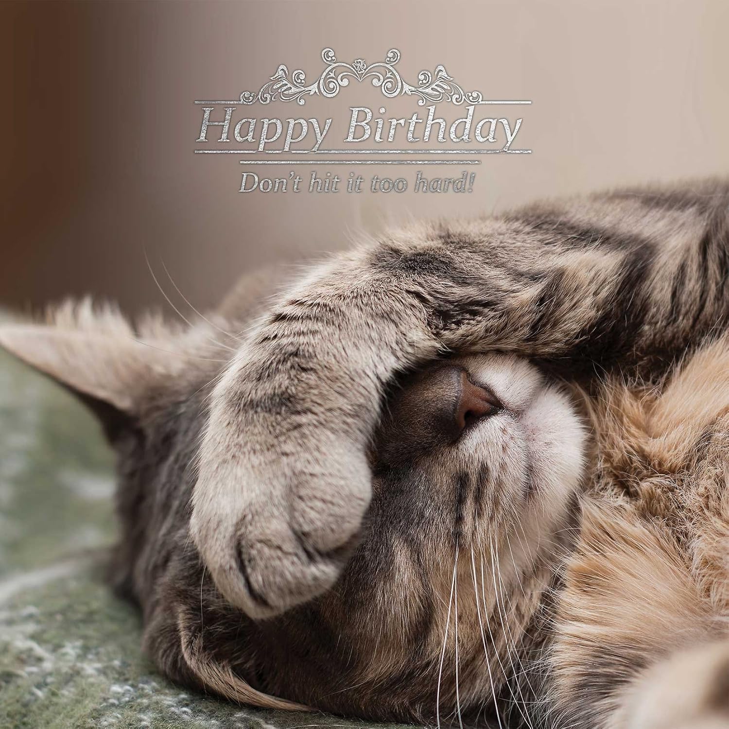 Items Similar To Funny Cat Happy Birthday Card Funny Birthday Card My Items Similar To Funny Cat Happy Birthday Card Funny Birthday Card My