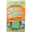 Amazon.com : Food For Life Ezekiel 4:9 Organic Sprouted Grain Pasta ...