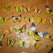 Amazon.com: 24 Pcs Art Decor Wall Stickers Home kid Room Decals: Toys ...