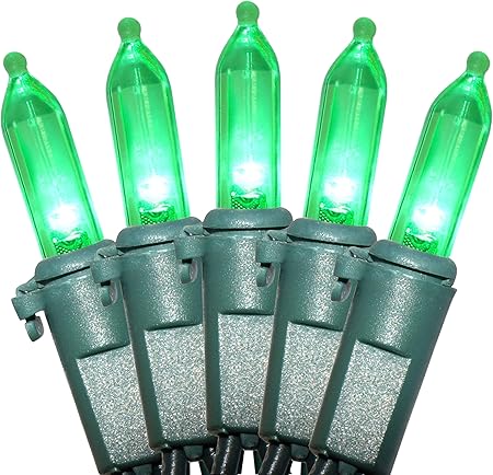 Amazon.com : Holiday Essence Christmas LED Lights, 100 Green String ...
