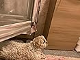 All Dogs Great and Small: What I’ve learned training dogs: Amazon.co.uk ...