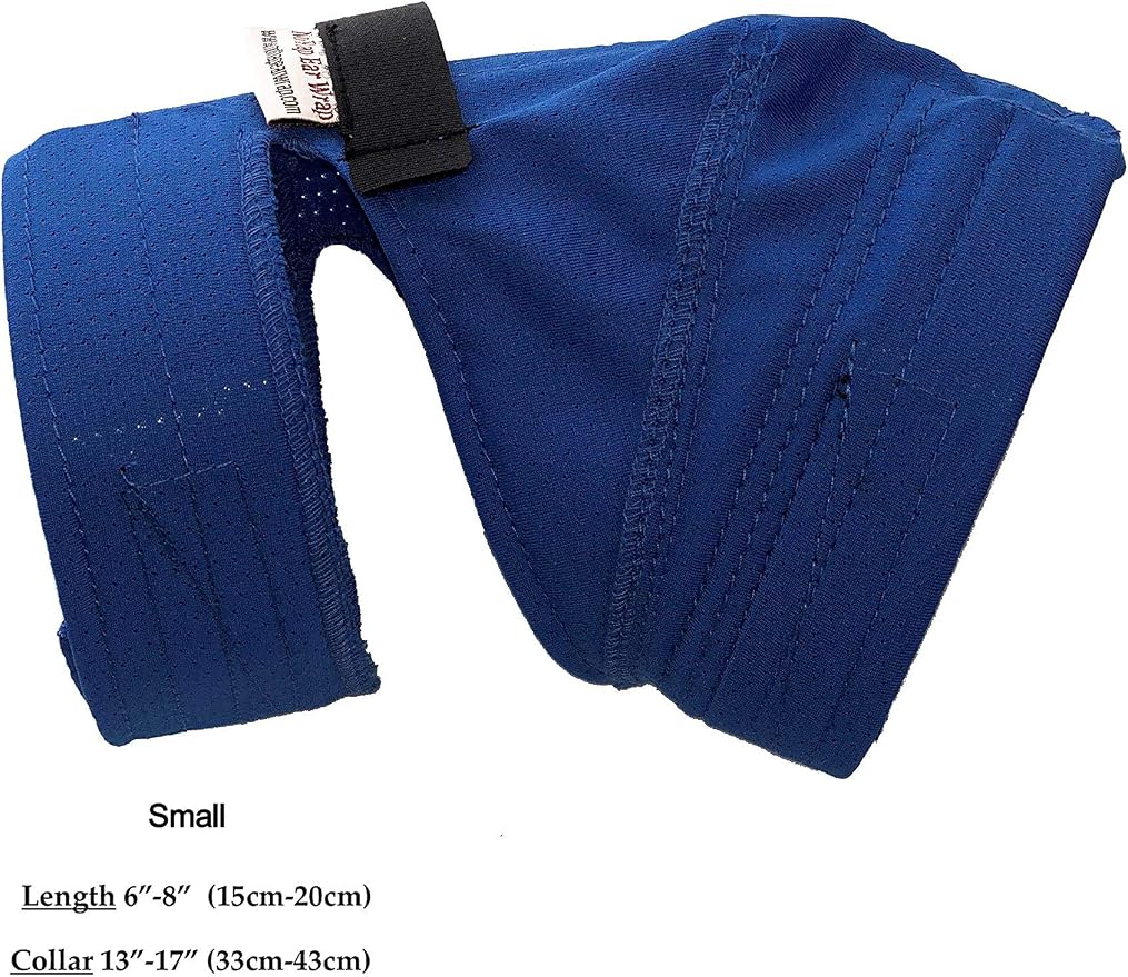 The Original No Flap Ear Wrap (Small, Blue): Amazon.ca: Pet Supplies